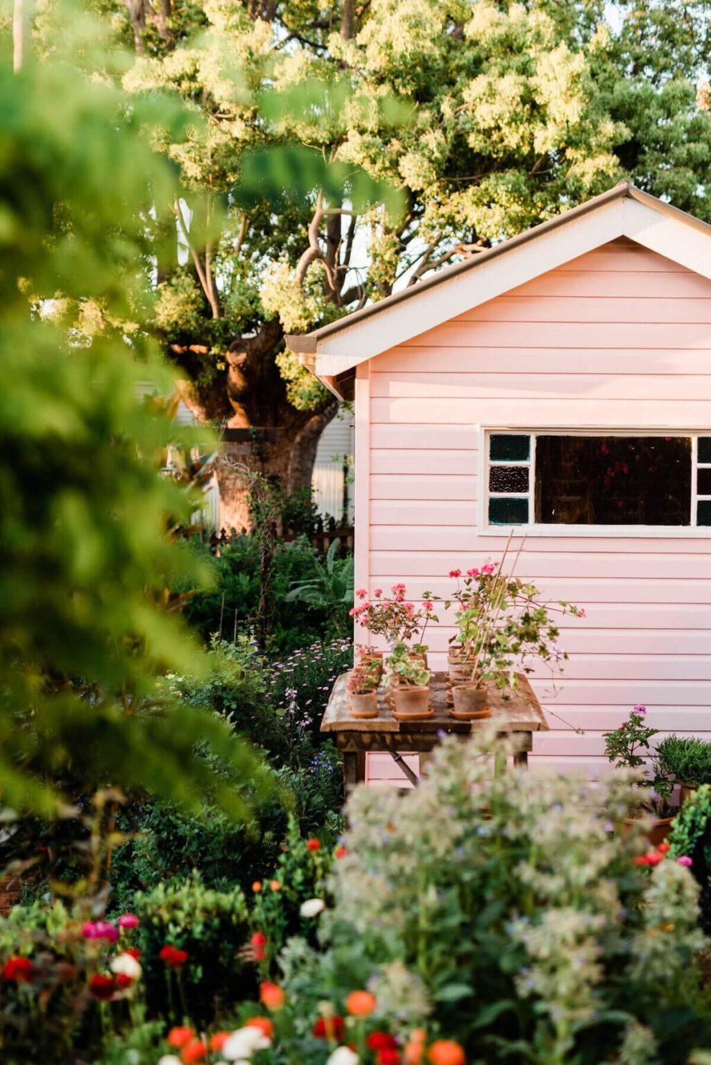 Norwood Roses: A Vintage Cottage in Australia - The Nordroom