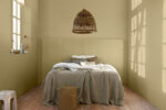 Dulux Colour of the Year 2023: Wild Wonder - The Nordroom