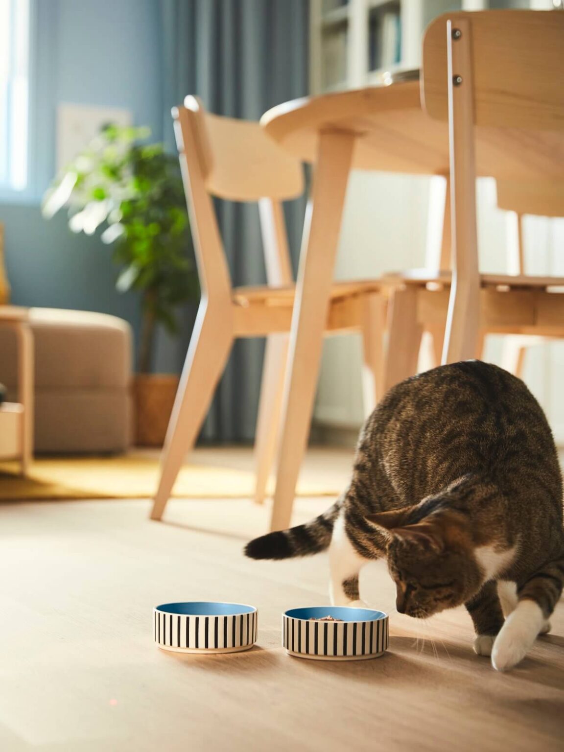 IKEA UTSÅDD: A Pets Collection for A Joyful Home Life - The Nordroom