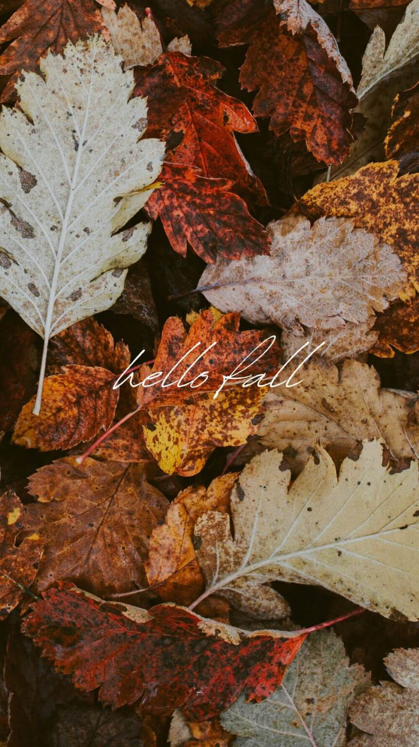 Beautiful (and Fun) Fall Phone Wallpapers to Start the Cozy Season ...