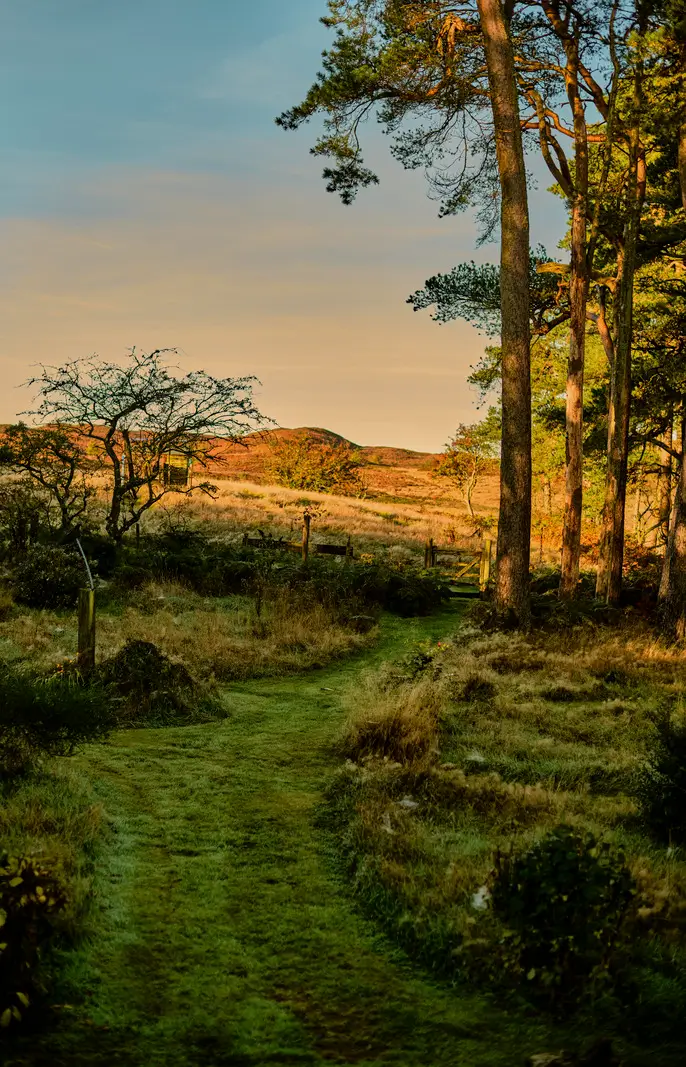 A Restored Welsh Longhouse Where Centuries of Craft Meet Contemporary ...